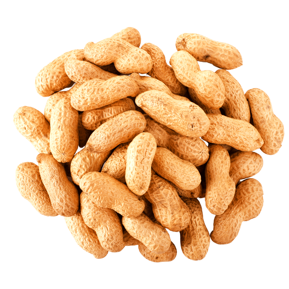 Peanuts Ubicaciondepersonas cdmx gob mx
